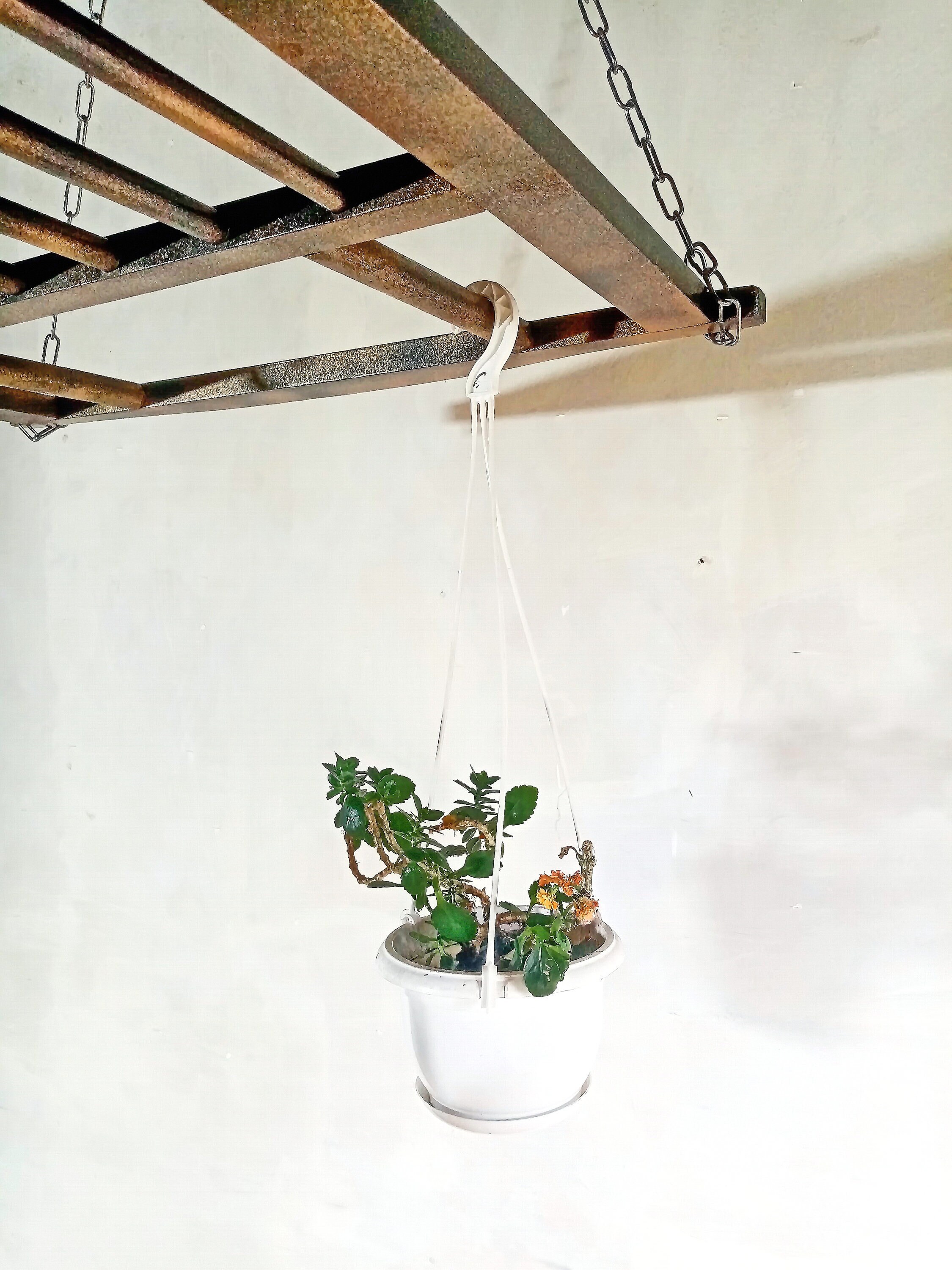 Garden Ladder Ladder Pot Rack Pot Rack Ceiling Pot and Pan - Etsy