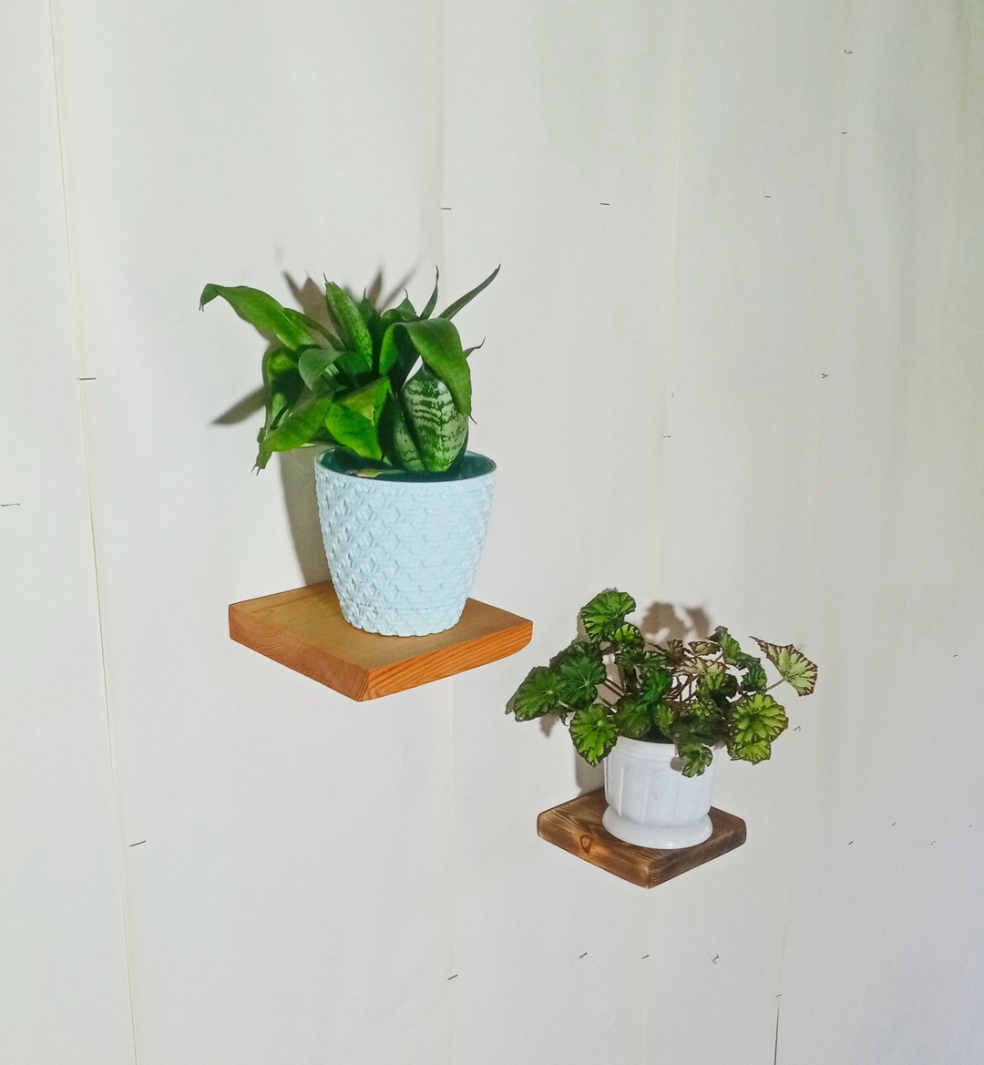 Floating Shelf, Square Wood Shelf, Wall Decor, Small Shelf, Wall Plant ...