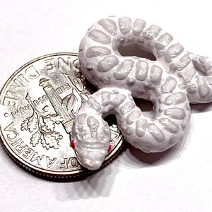 Handmade Hognose Miniature (regular, Albino, Snow, Lavender Arctic) - Etsy
