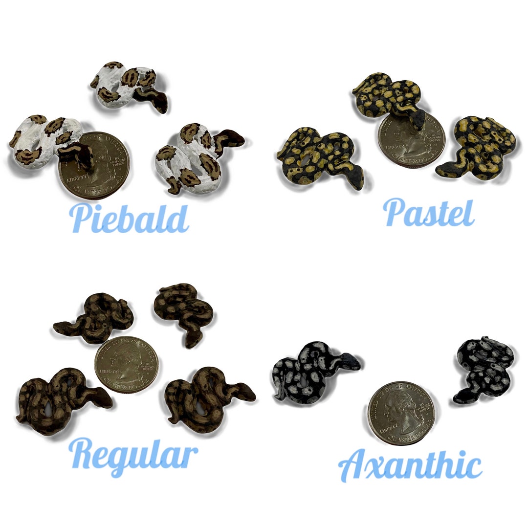 Resin Ball Python - Etsy