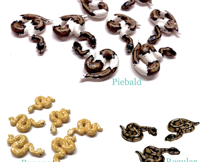 Fruit Salad Snake Charms / Cute Ball Pythons / 2in / Double - Etsy