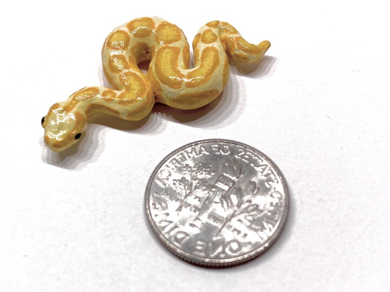 A Miniature Ball Python Snake Polymer Clay piebald Banana - Etsy