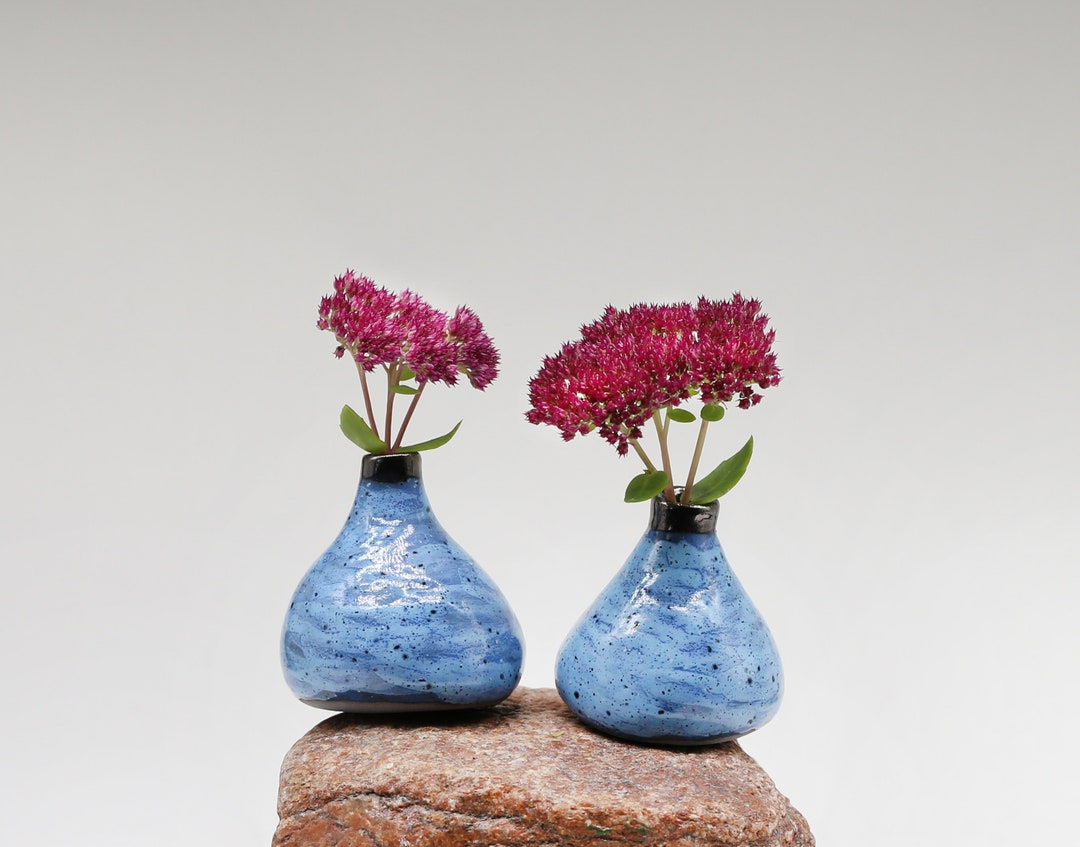 Ceramic Small Vases Set of 2 for One Flower or Decorative Twig ...