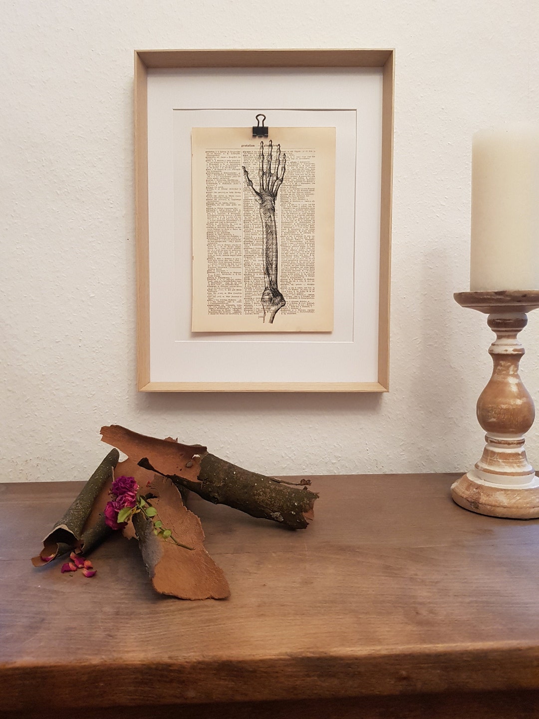 Anatomy Art Print of the Human Arm With Tendons, on an Antique Book ...