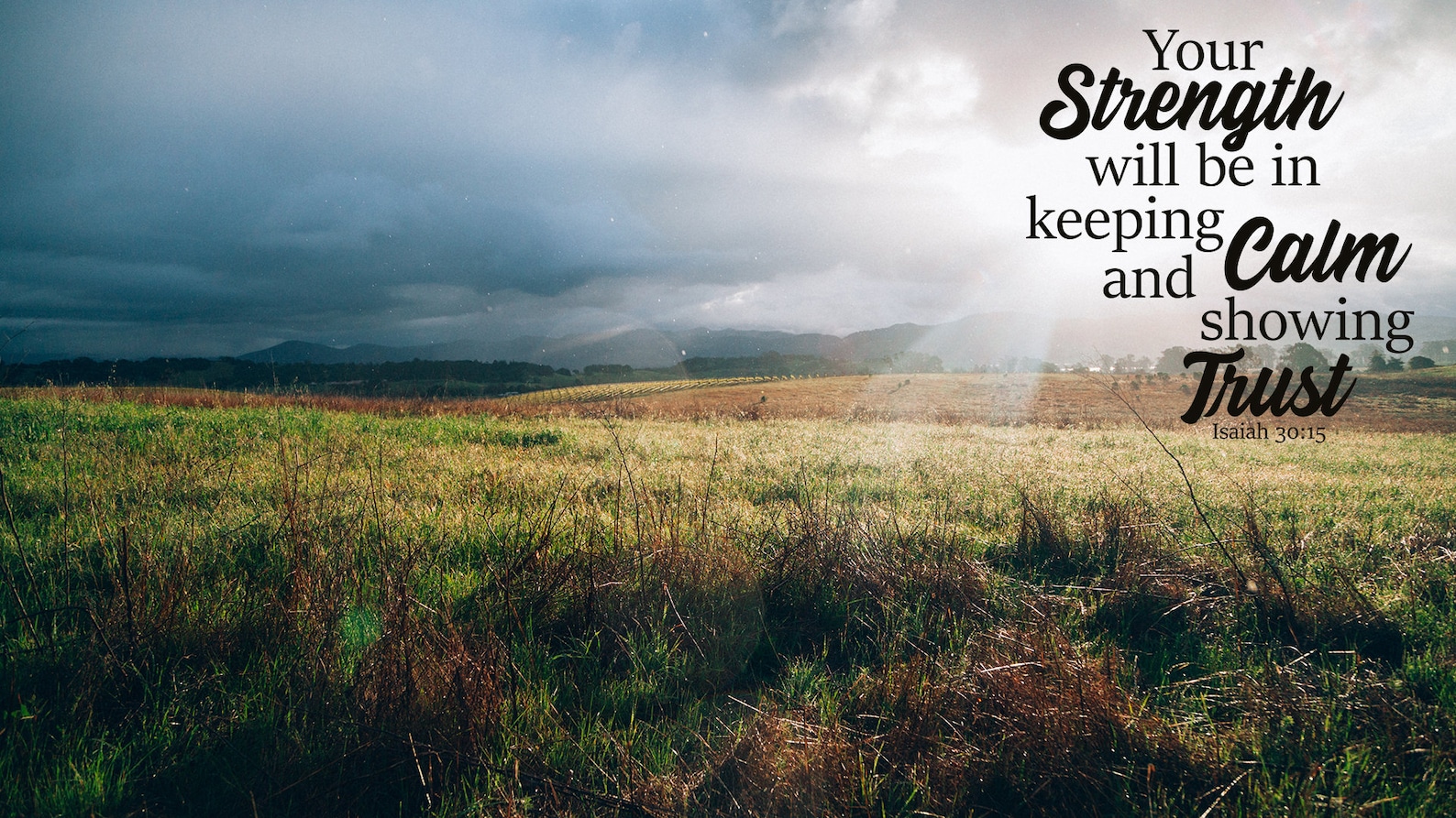 JW Zoom Background JW Year Text 2021 JW Gift Zoom Jehovah - Etsy France