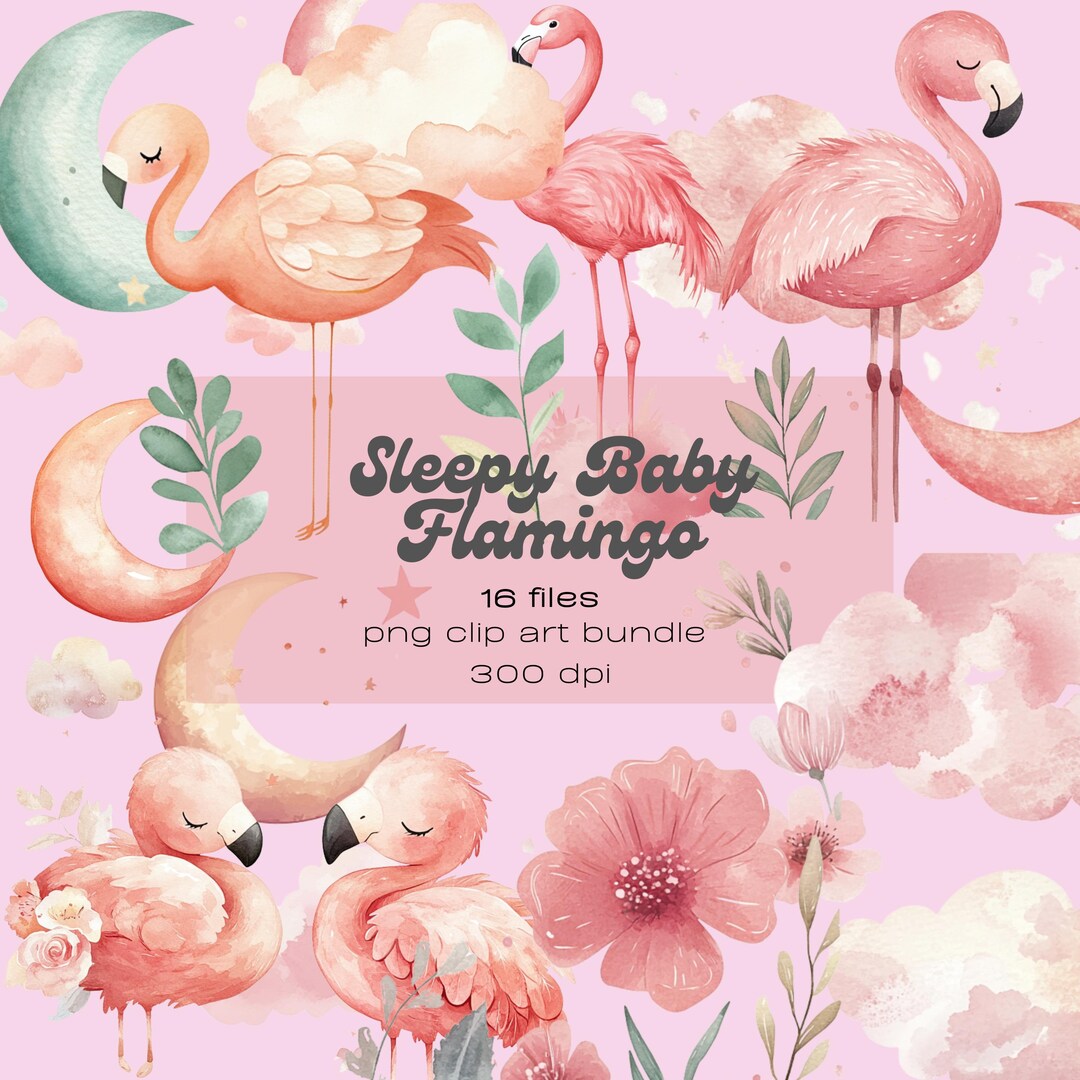 Watercolor Sleepy Baby Flamingo Clipart Bundle | 16 PNG Cute Pink ...