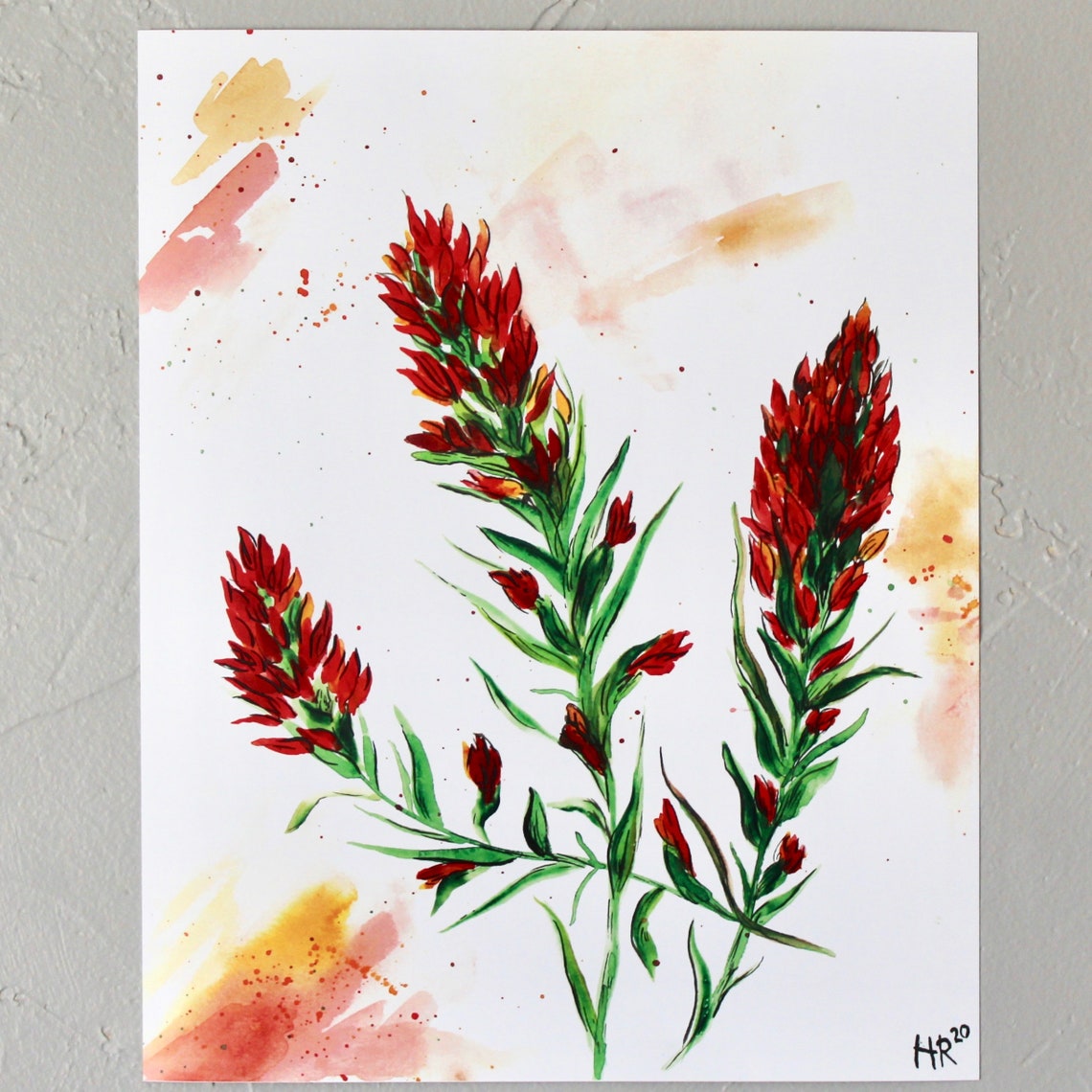 Indian Paintbrush Watercolor Print - Etsy