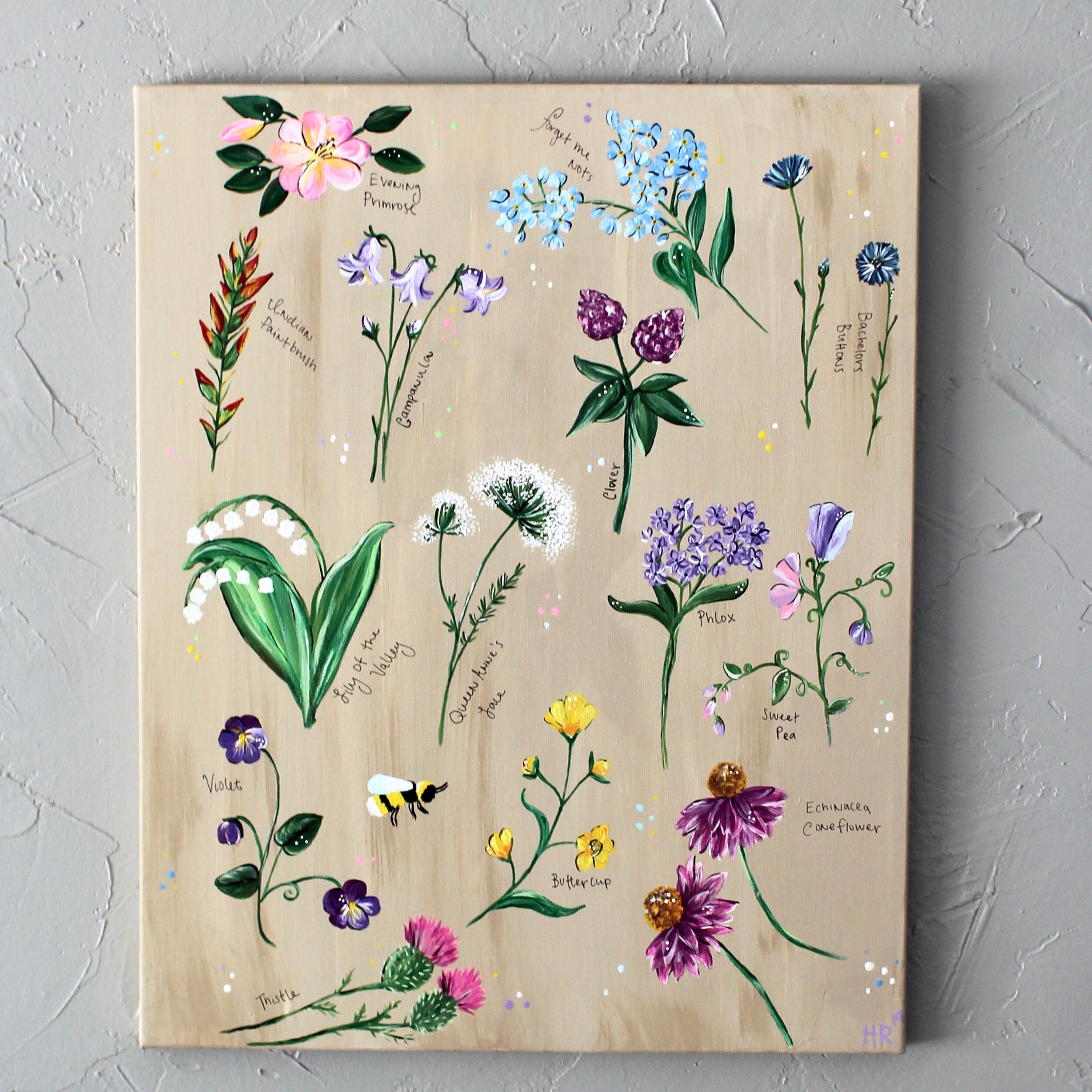 Wildflower Field Guide Art Print - Etsy