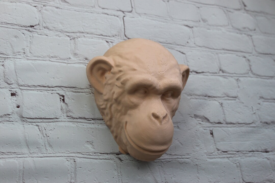 MEDIUM Detailed Monkey Wall Head Modern Decor - Etsy