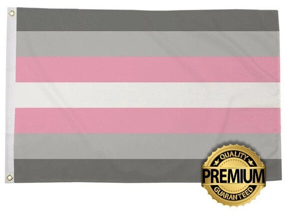 Demigirl Pride Flag Large Premium Quality Demiwoman Flag | Etsy