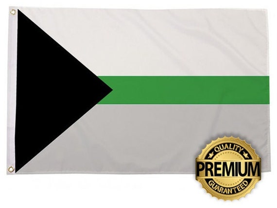 Demiromantic Pride Flag Large Premium Quality Demi Flag 5ft | Etsy