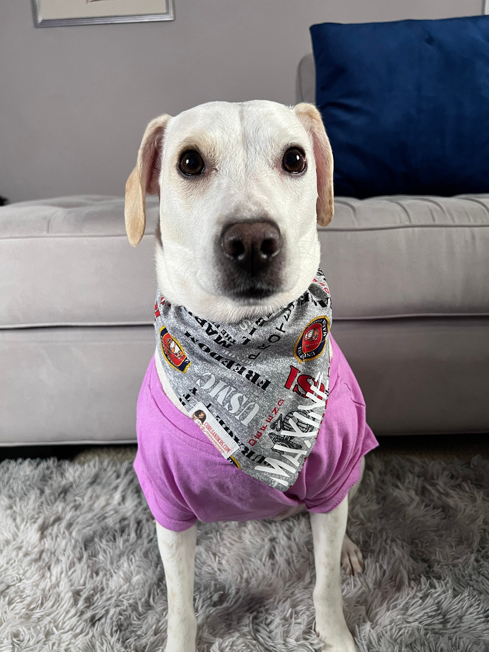 Puppy Dog Bandana US Marine Corps USMC Personalized Tie - Etsy