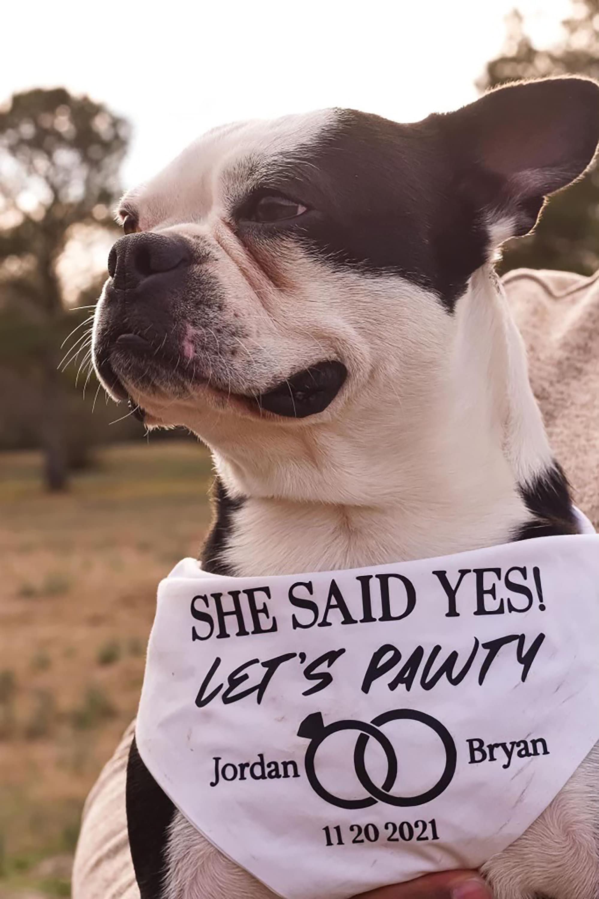 Yes Puppy