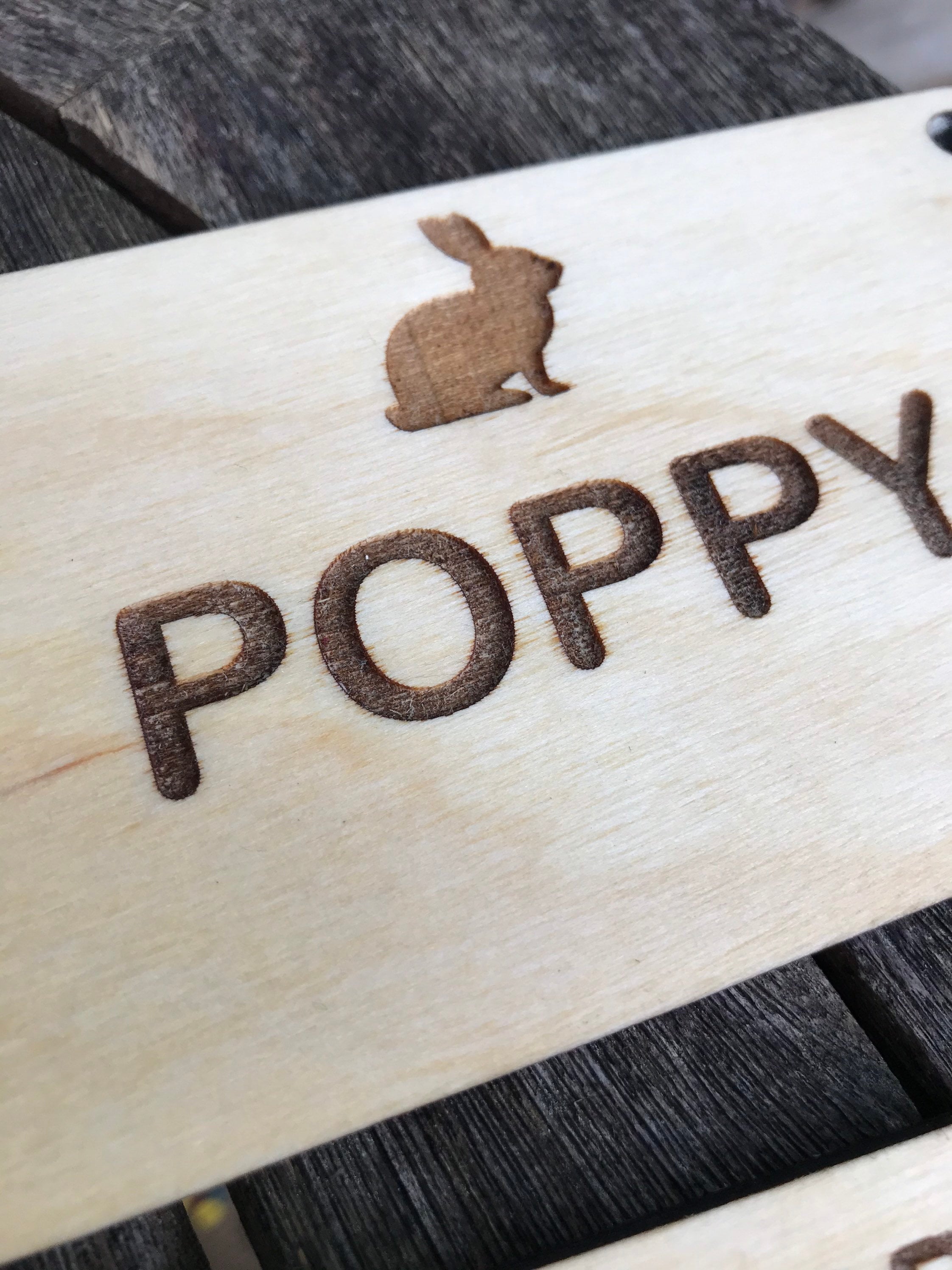 Rabbit Hutch Card at Adam Ross blog