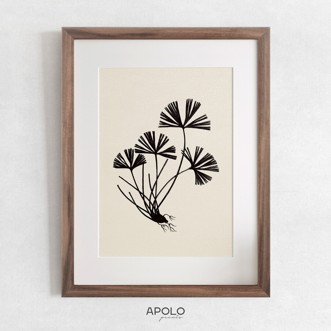 Ray Fern Sketch Print, Printable Botanical Art, Vintage Charcoal ...