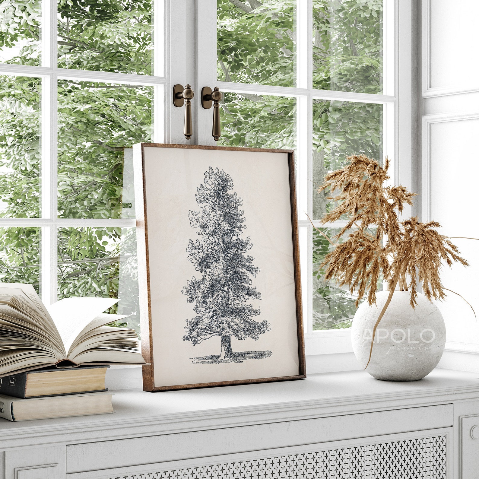 Red Spruce Tree Sketch Print, Printable Tree Art, Vintage Tree Drawing ...