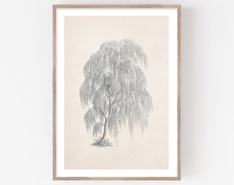 Willow Tree Print | Etsy