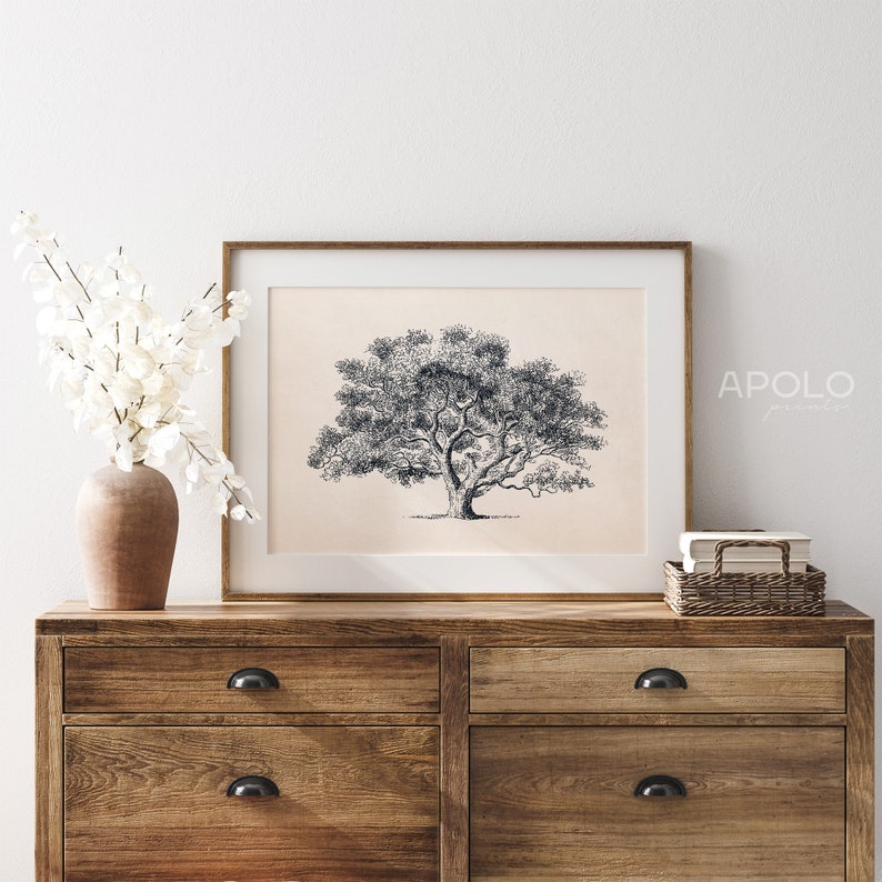 Oak Tree Drawing Print, Printable Wall Art, Vintage Tree Sketch ...