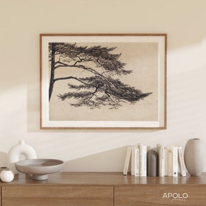 Pine Tree Branch Print, Vintage Tree Drawing Enhanced, Printable Tree ...