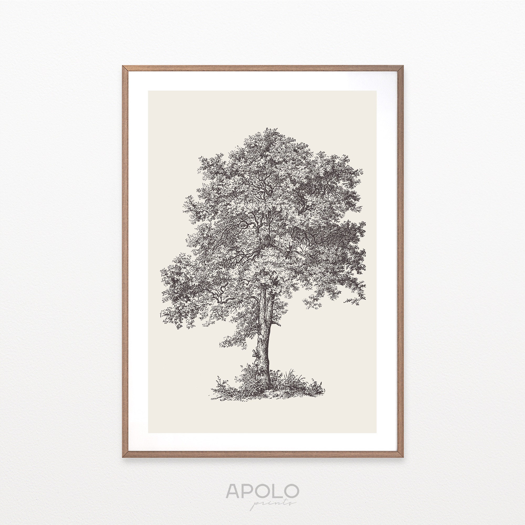 Sycamore Maple Tree Sketch Print Vintage Farmhouse Drawing - Etsy