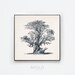 Ancient Oak Tree Sketch Print, Vintage Tree Drawing Enhanced, Digital ...