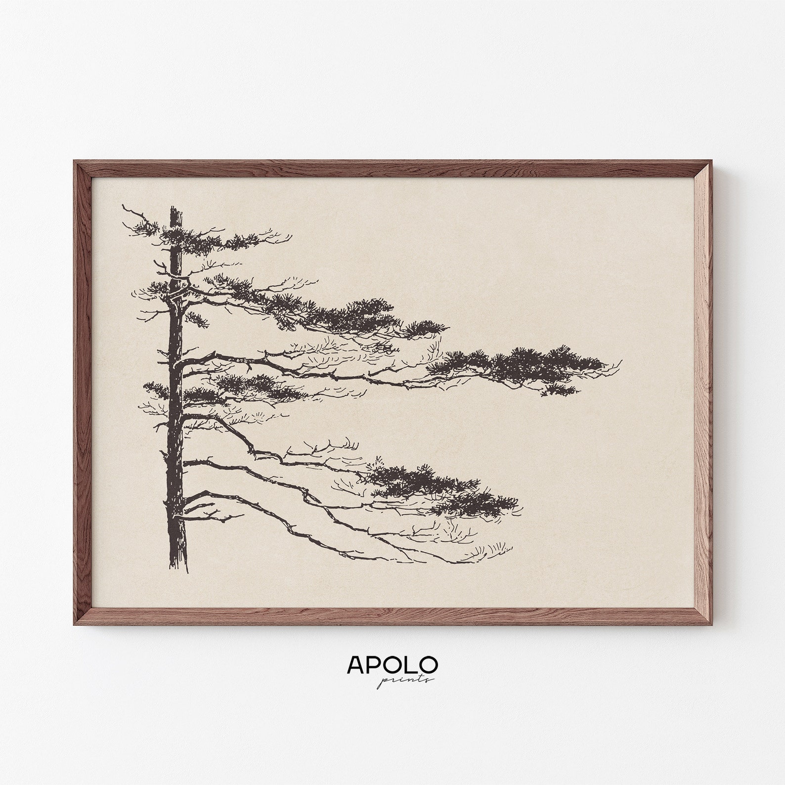 Pine Tree Branch No. 2, Printable Tree Art, Vintage Tree Sketch ...