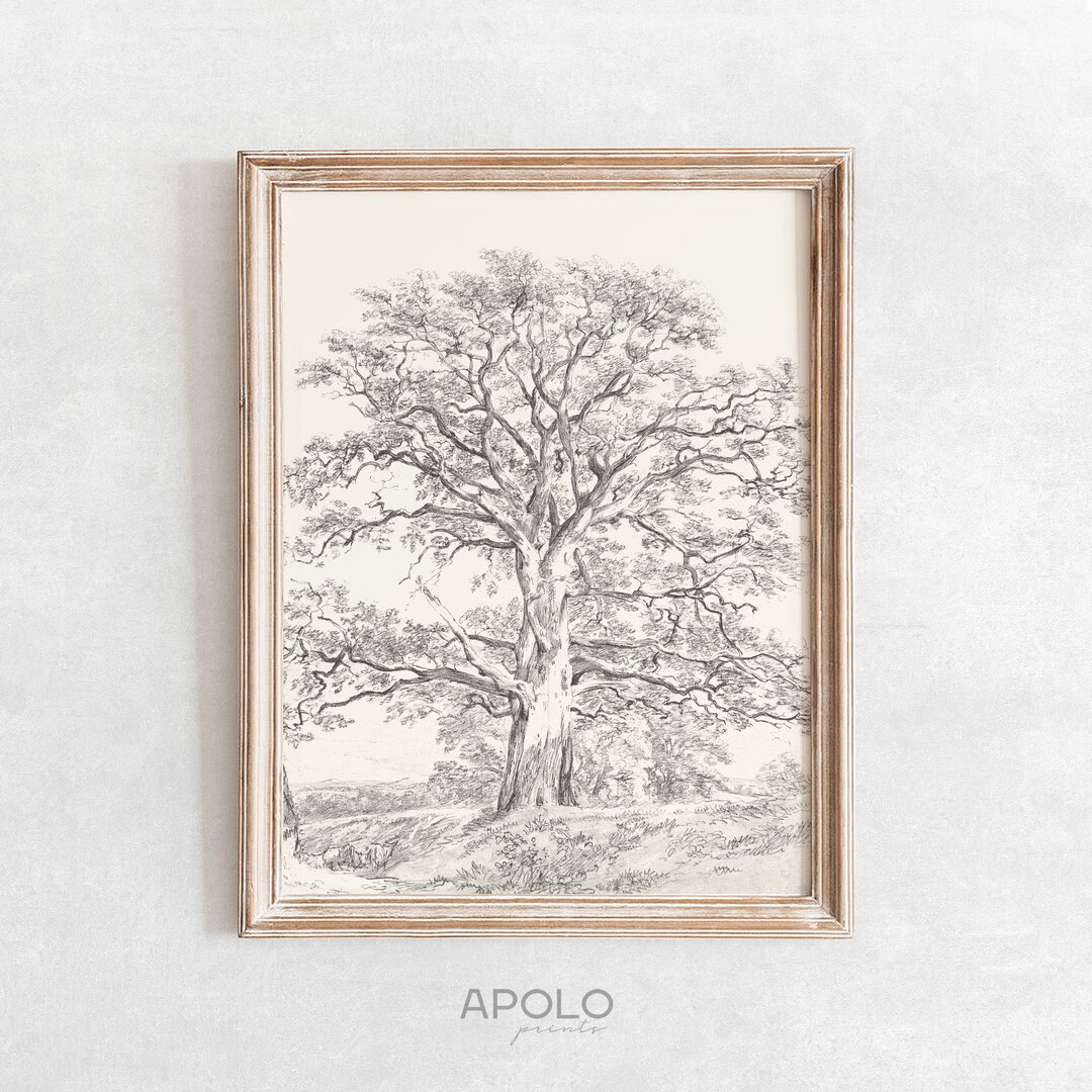 Vintage Tree Sketch Printable Tree Art the Great Oak Tree - Etsy UK