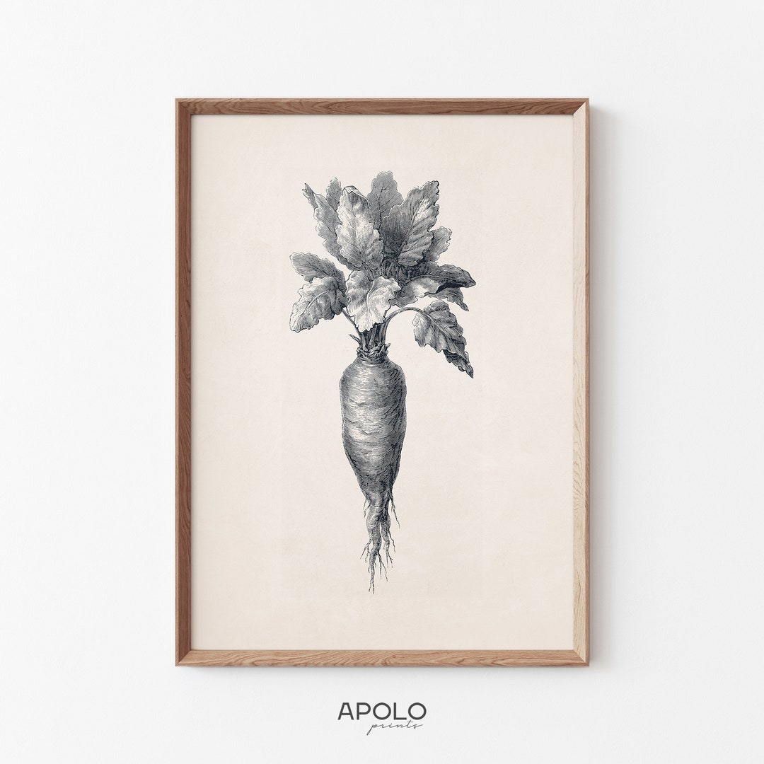 Beet Print, Printable Vegan Print, Kitchen Wall Art, Vintage Botanical ...