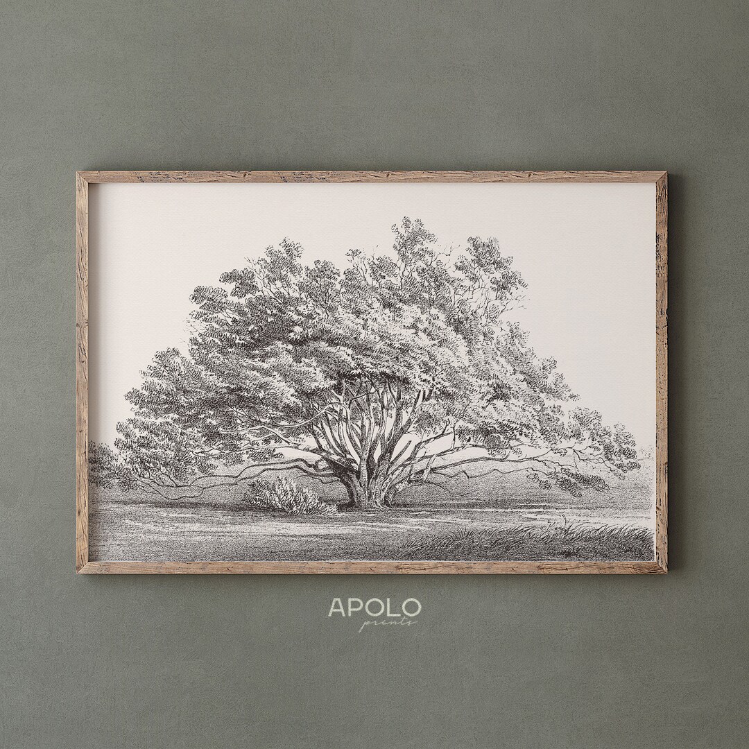 Printable Wide Tree Drawing Tree Wall Art Vintage Sketch - Etsy