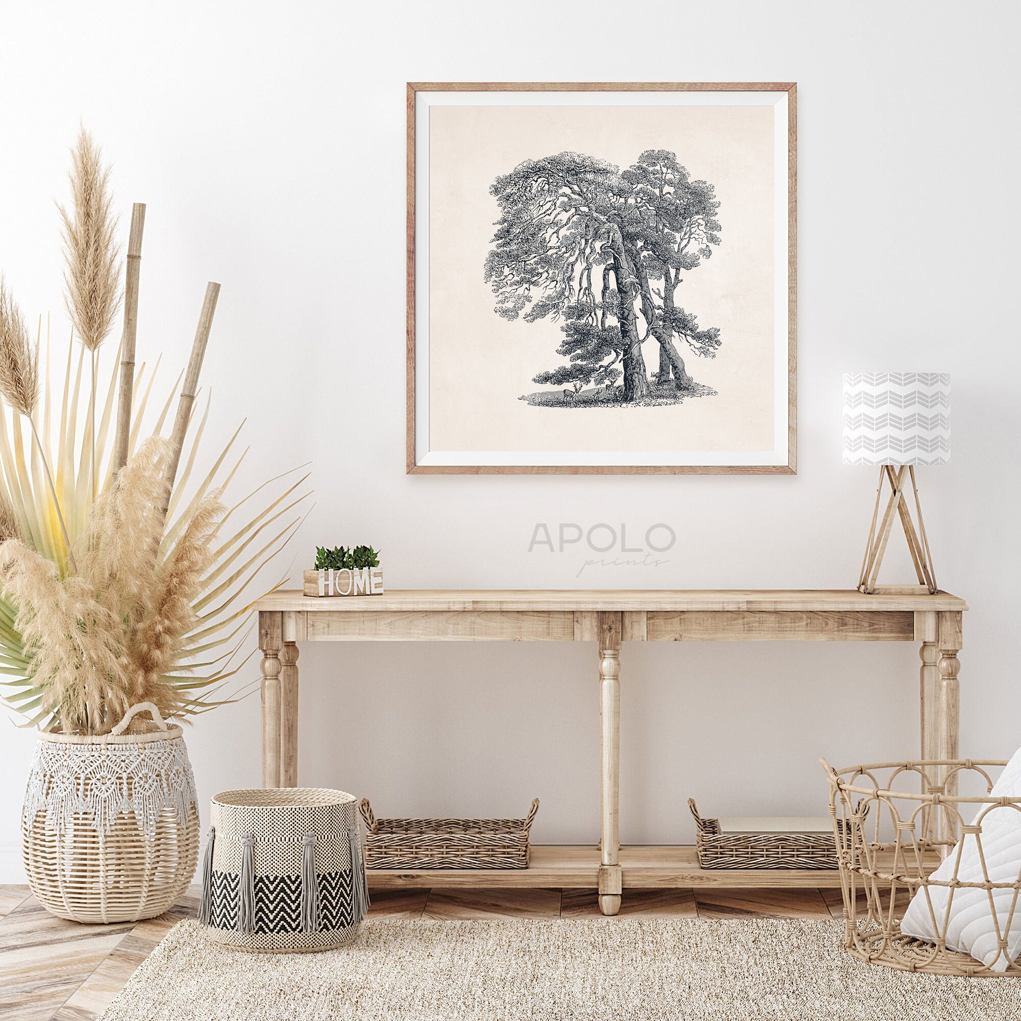 Ancient Elm Tree Sketch Print Printable Wall Art Vintage - Etsy