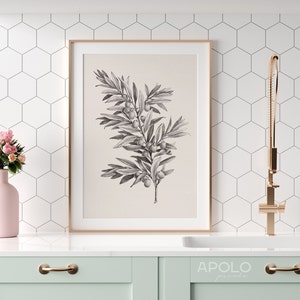 Olive Branch Print No. 1, Printable Wall Art, Vintage Botanical Sketch ...