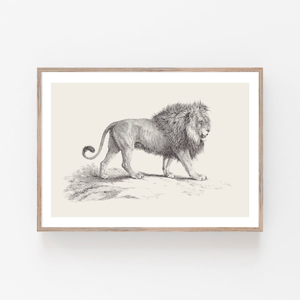 Lion Print - Etsy