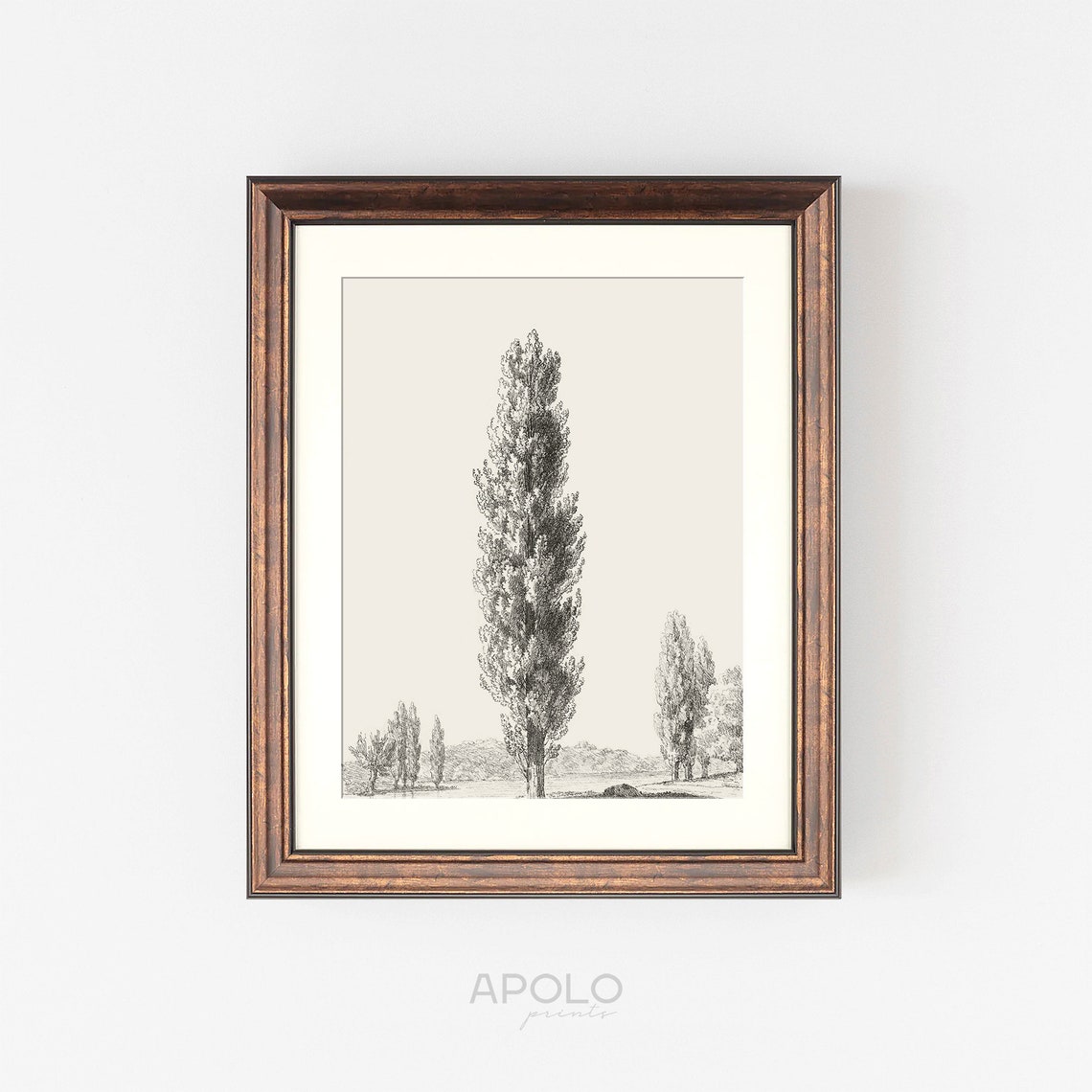 Cypress Tree Drawing Print 10 Vintage Pencil Tree Sketch - Etsy
