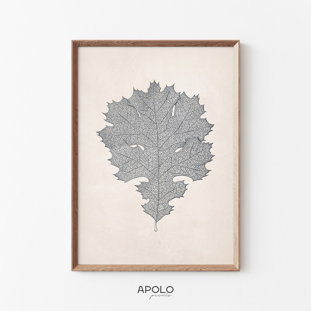 Oak Leaf Print, Printable Leaf Drawing, Vintage Botanical Drawing ...