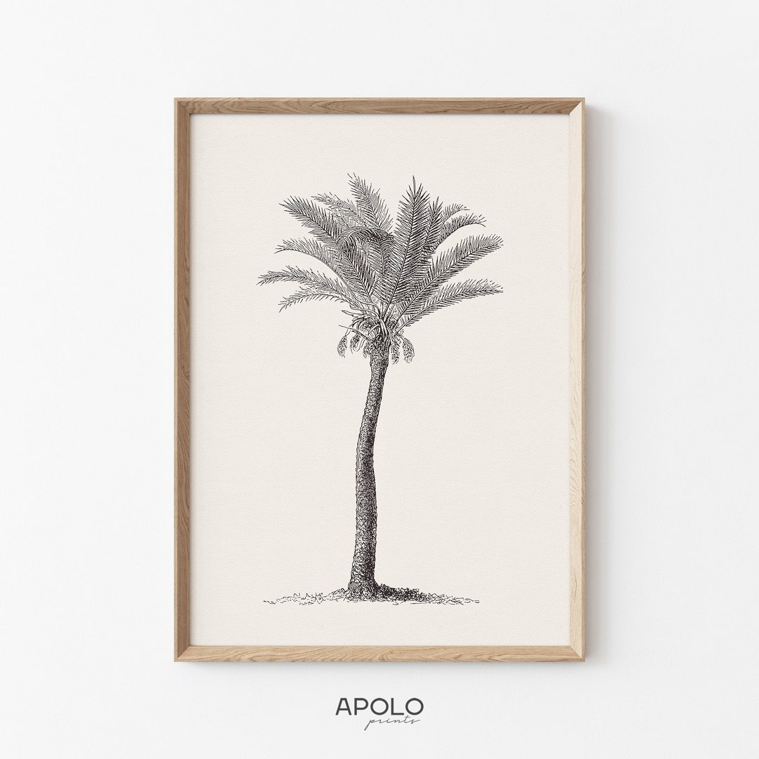 Palm Tree Sketch Print No. 1, Printable Vintage Tree Drawing Enhanced ...