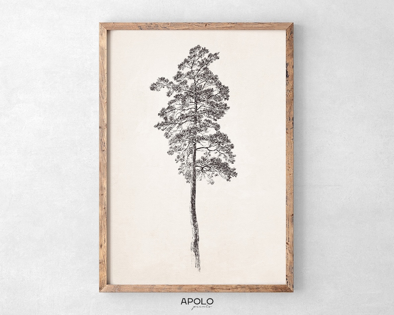 Printable Pine Tree Drawing No. 2 Vintage Tree Sketch - Etsy
