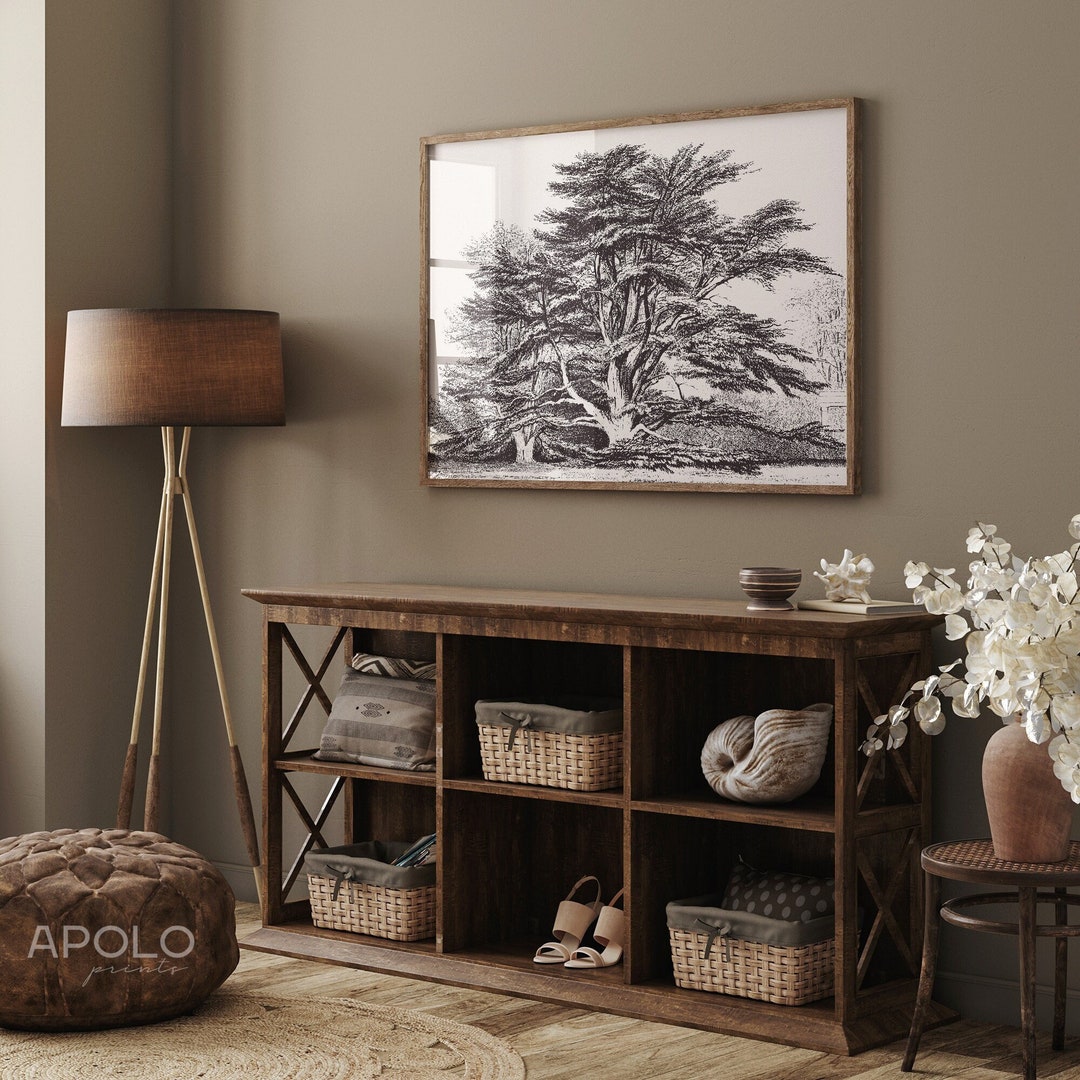 Printable Cedar of Lebanon Tree Sketch, Vintage Tree Drawing Enhanced ...