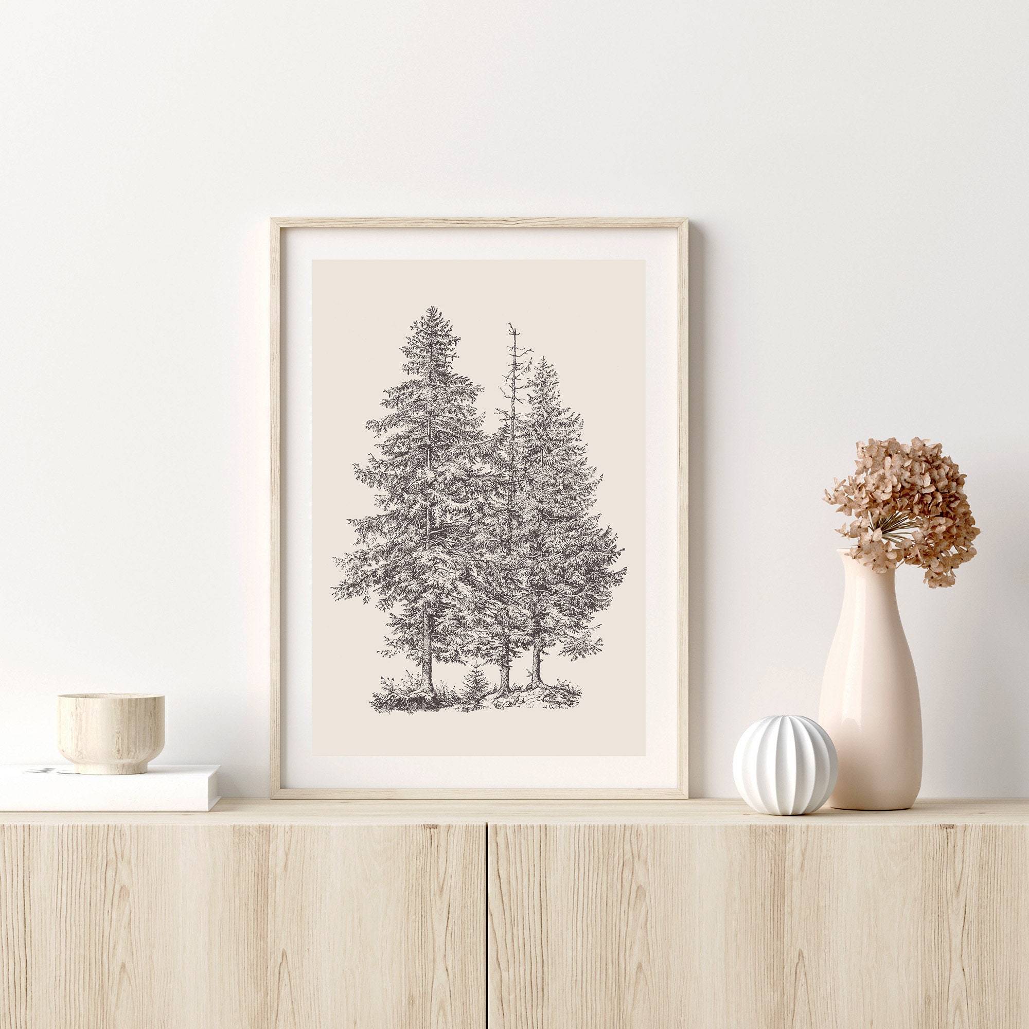 Norway Spruce Tree Sketch Print Vintage Rustic Drawing | Etsy