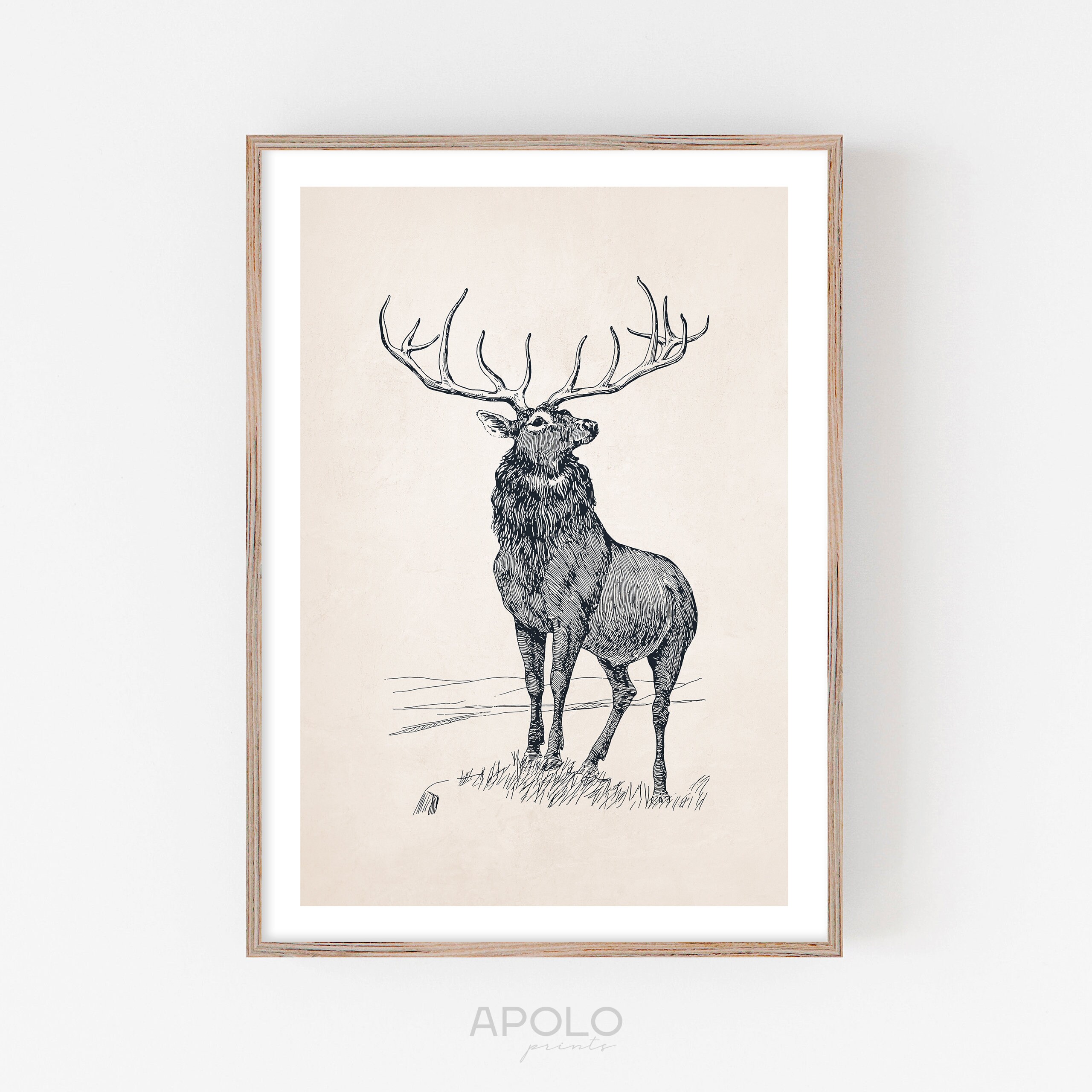 Red Deer Print Vintage Stag Sketch Antique Wildlife Drawing - Etsy