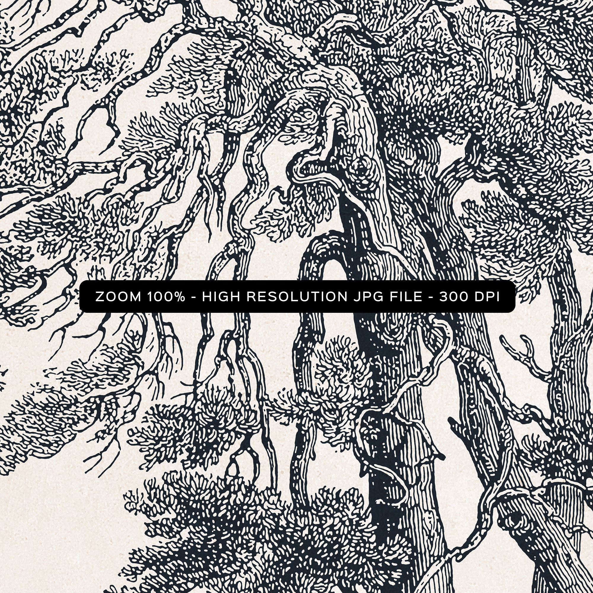 Ancient Elm Tree Sketch Print Printable Wall Art Vintage - Etsy