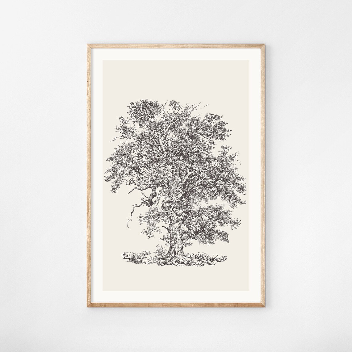 English Oak Tree Sketch Print Vintage Neutral Drawing | Etsy