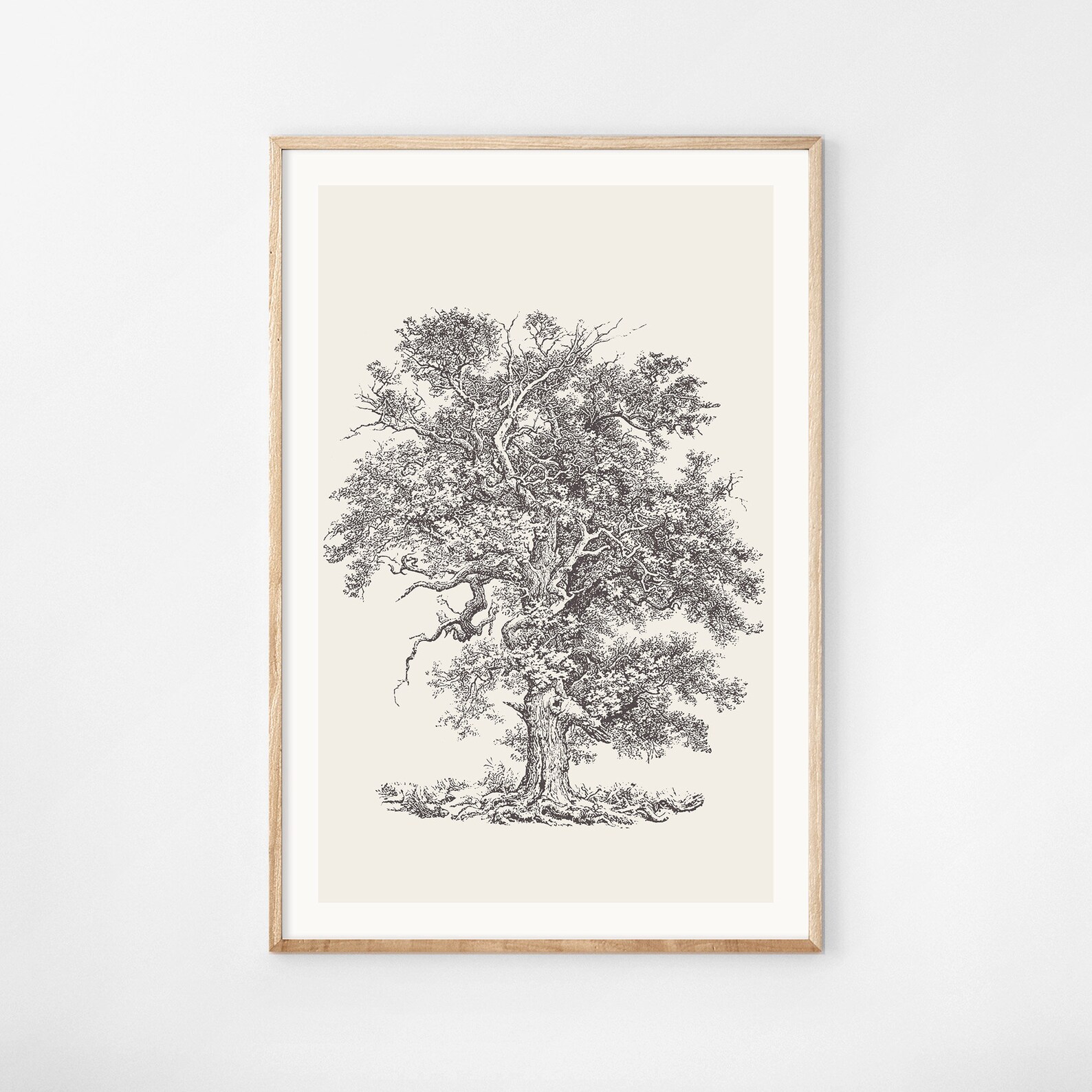 English Oak Tree Sketch Print, Vintage Neutral Drawing Enhanced ...