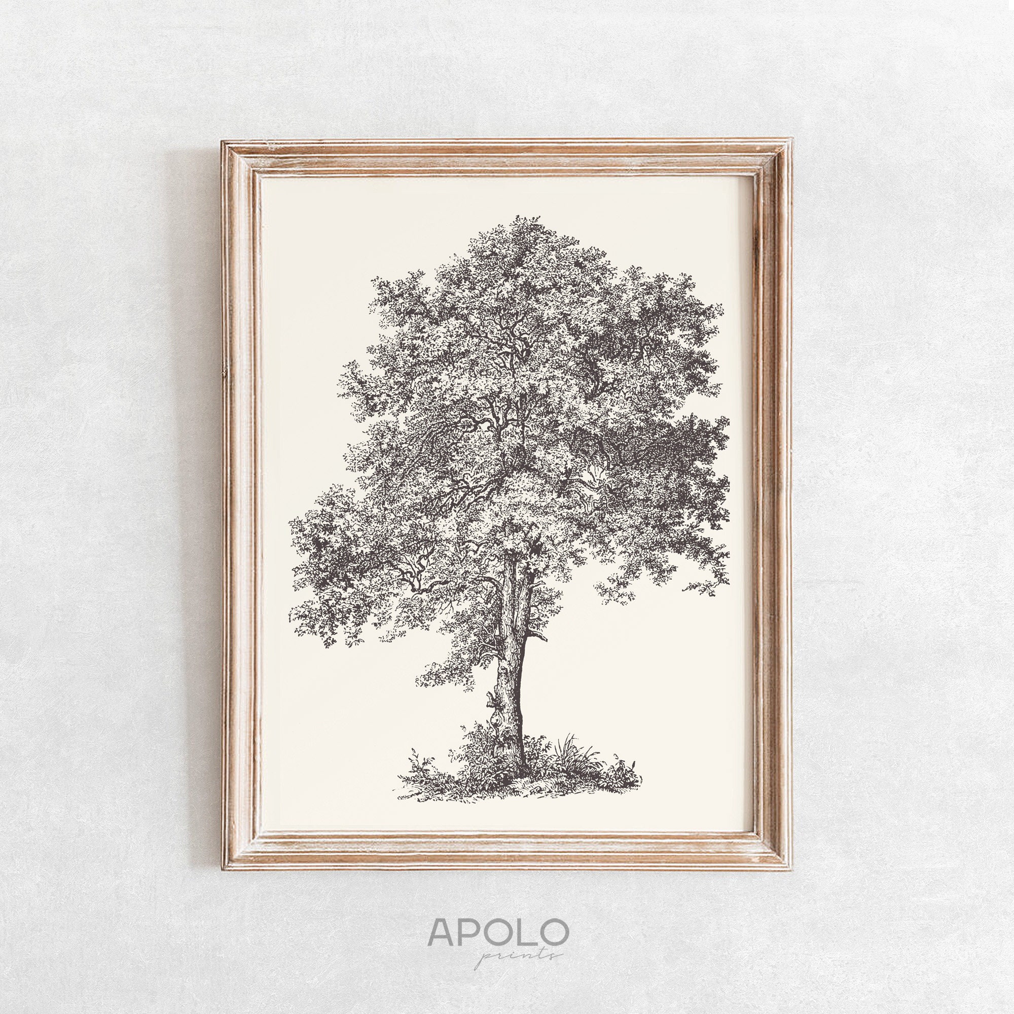 Sycamore Tree Painting