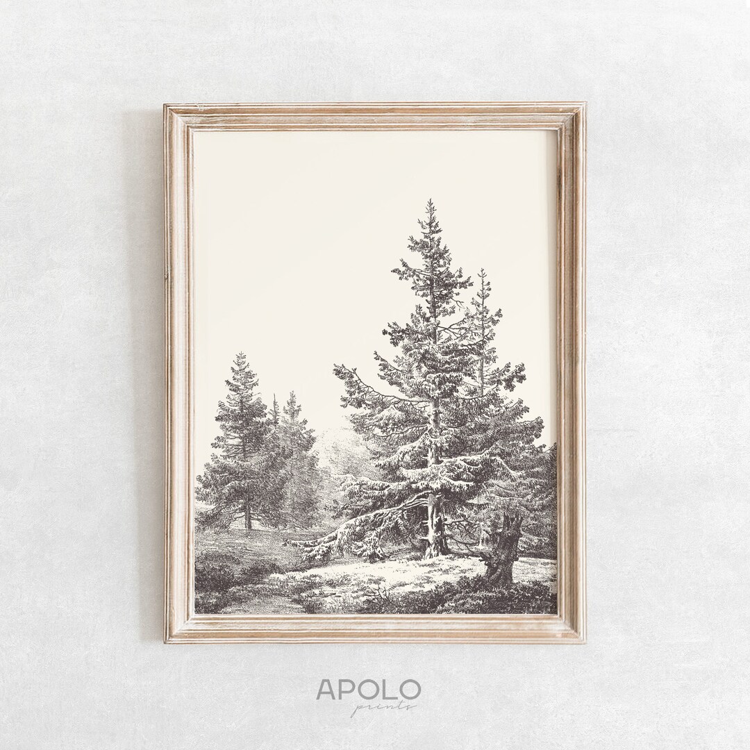 Hemlock Forest Print Vintage Tree Drawing Enhanced Printable - Etsy