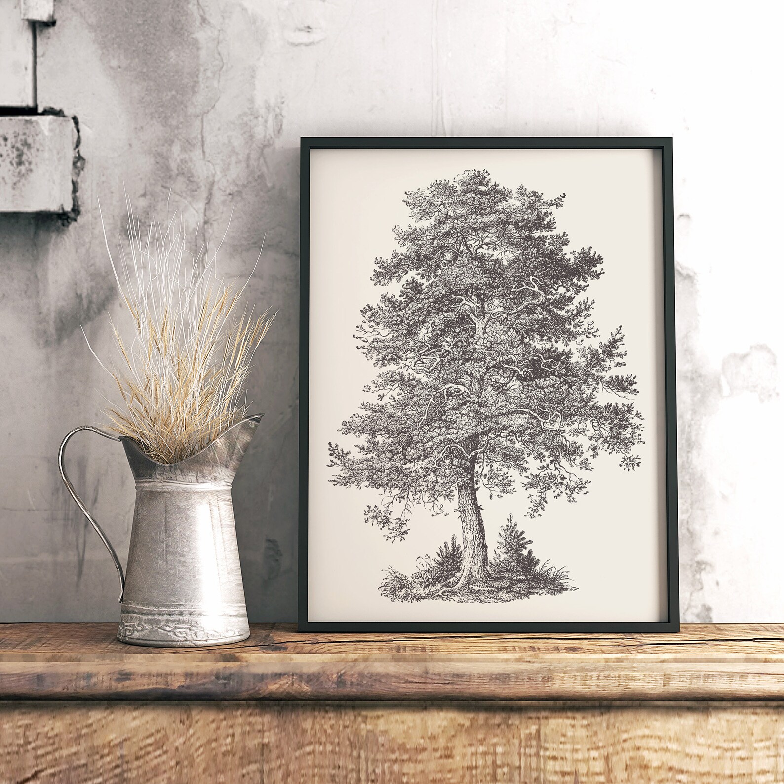 Scotch Pine Tree Sketch Print, Vintage Farmhouse Drawing Enhanced ...