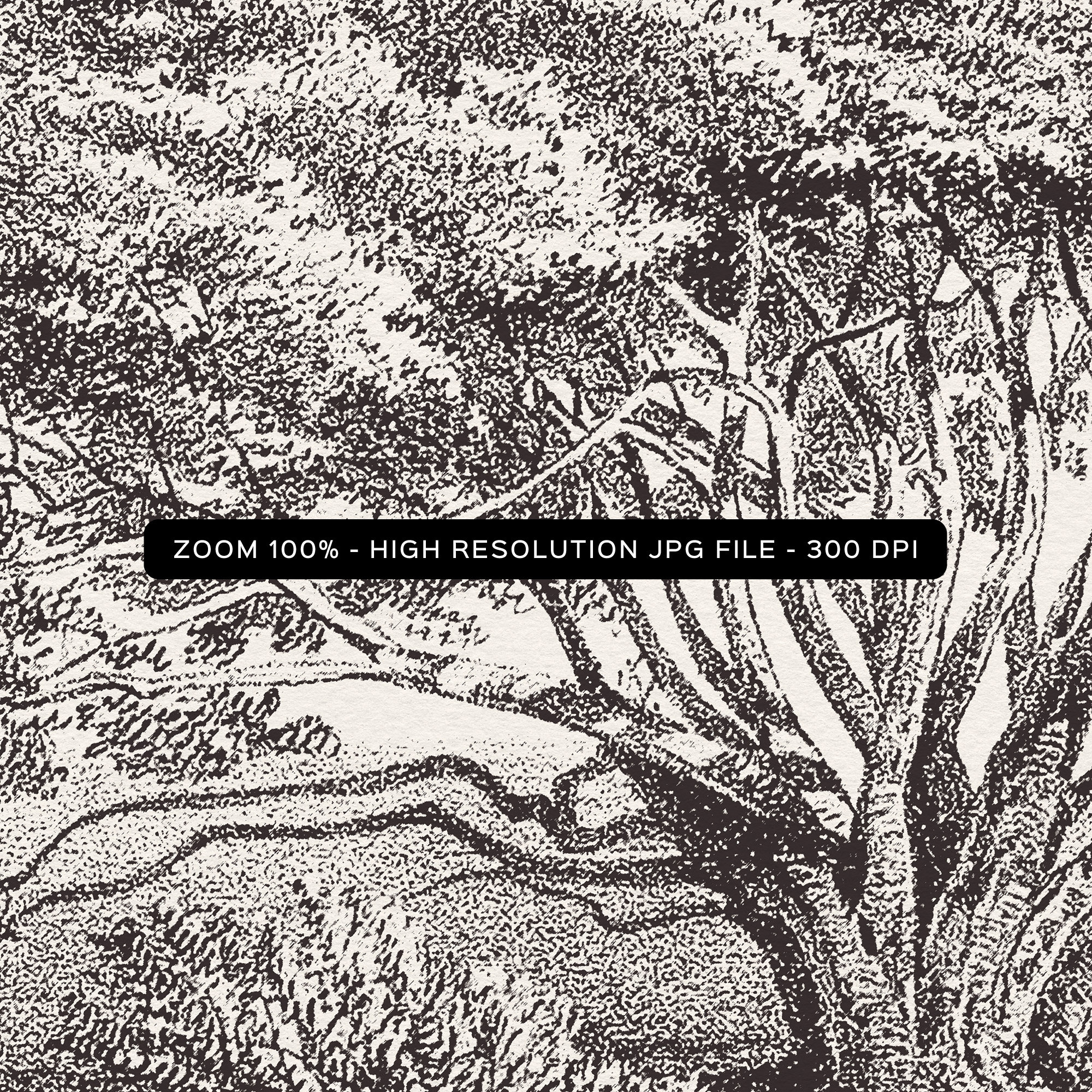 Printable Wide Tree Drawing Tree Wall Art Vintage Sketch - Etsy Australia