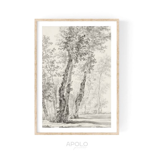 Printable Tree Art Vintage Watercolor Drawing Enhanced - Etsy