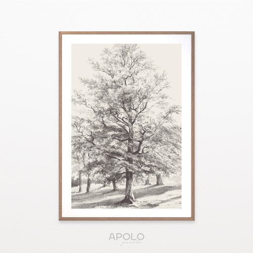 Hemlock Forest Print Vintage Tree Drawing Enhanced Printable - Etsy