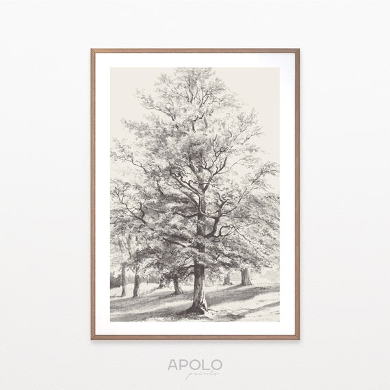 Printable Tree Art Vintage Watercolor Drawing Enhanced - Etsy