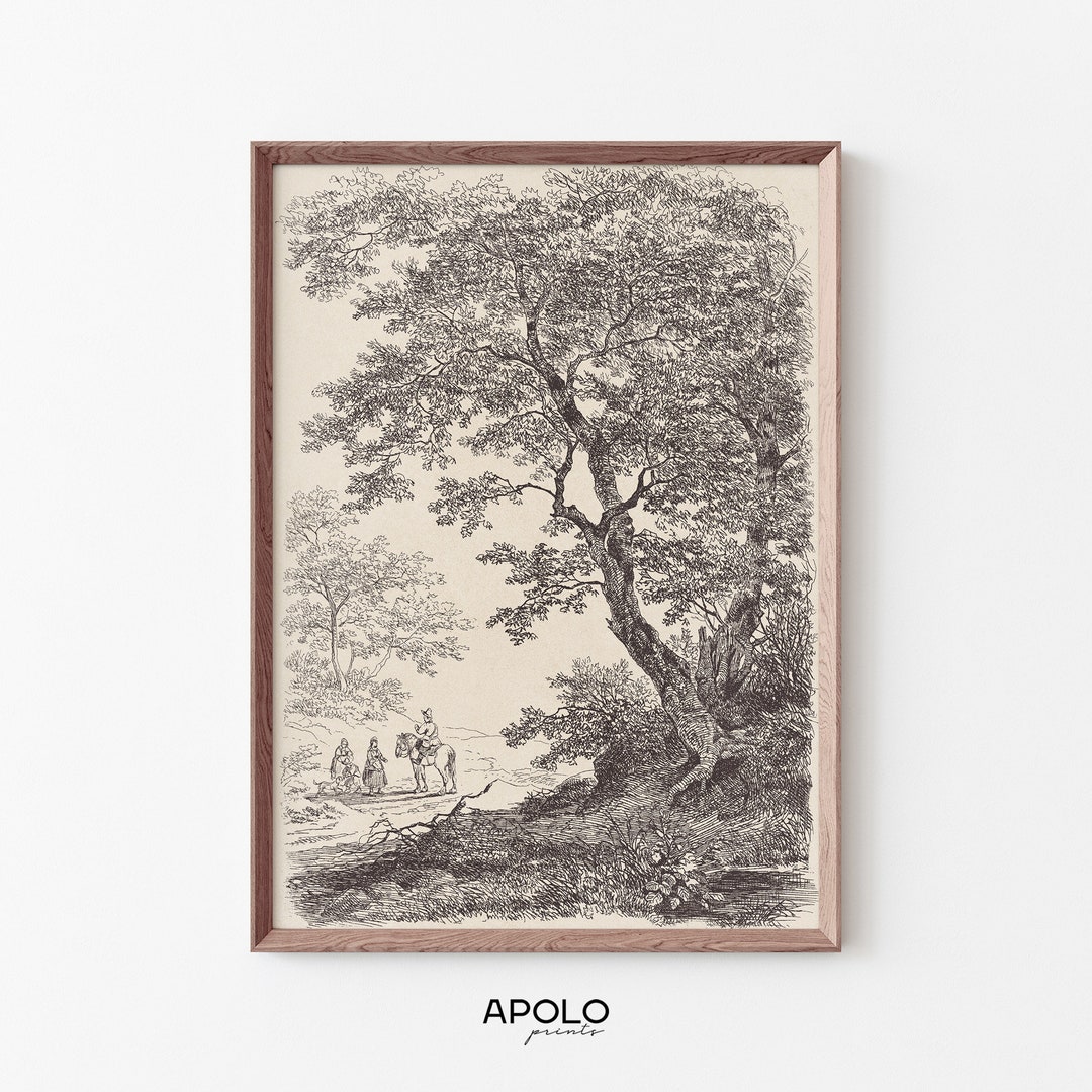 Tree Drawing Print No. 05, Printable Tree Art, Vintage Pencil Tree ...